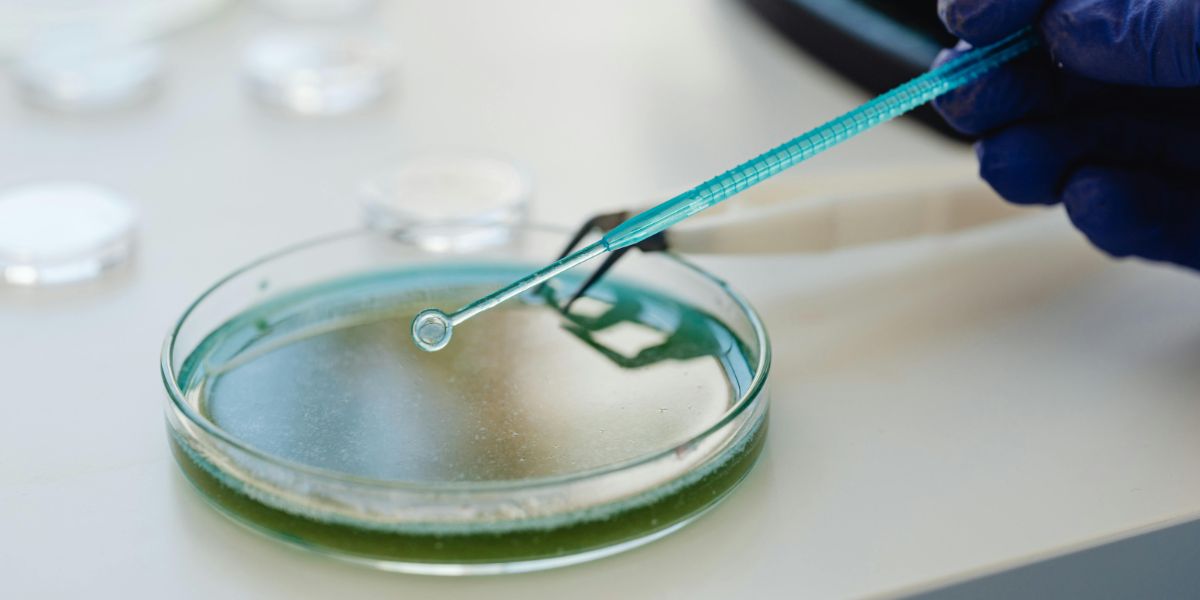 Fungal Compound Shows Promise for Replacing Opioids | Drug Discovery ...