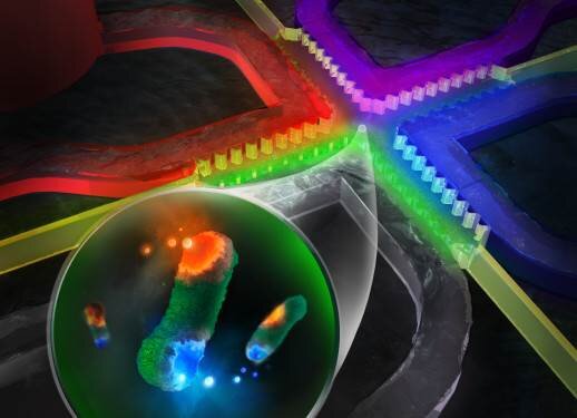 The Microfluidic-Based Drug Screening Chip | Drug Discovery And Development