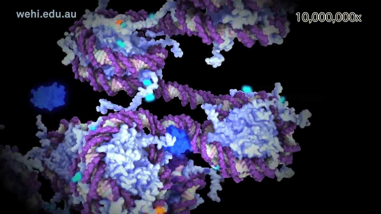 Understanding Why Some Birth Defects are More Common in Girls ...