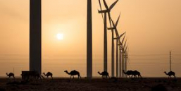 Russian ice cap melting at 82 feet per day