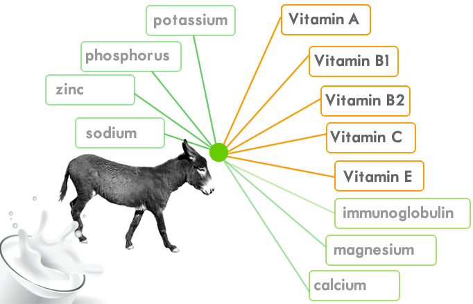Donkey Milk as Functional "Pharmafood" | Health And Medicine