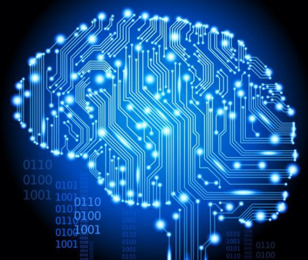 Behavior Predicting Neural Code Identified | Neuroscience