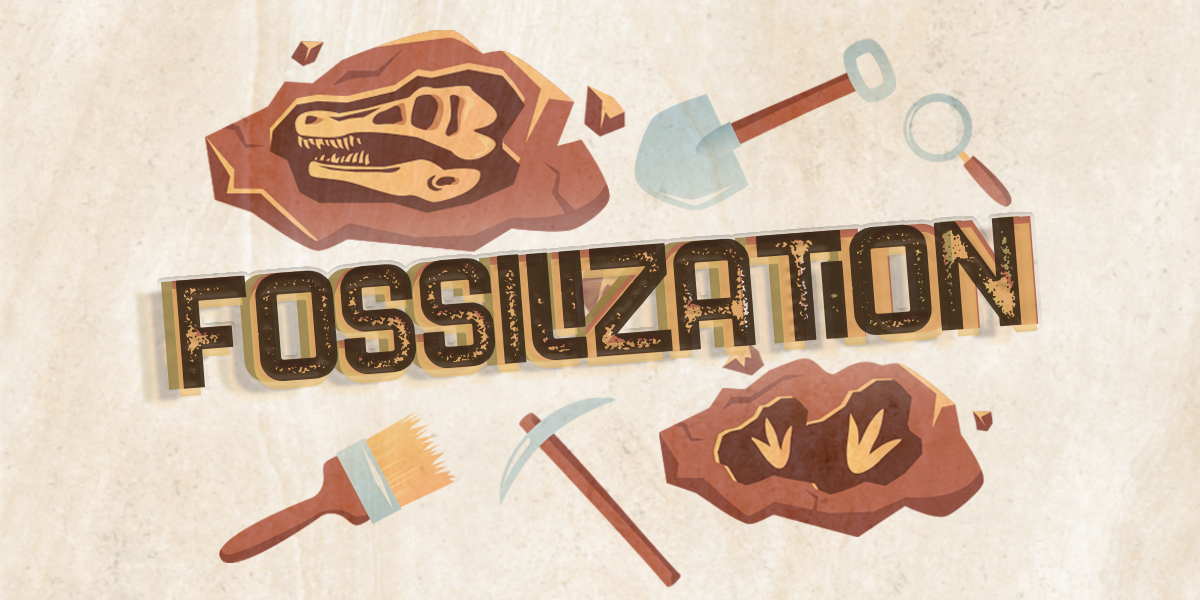 Fossilization 101 | Infographics