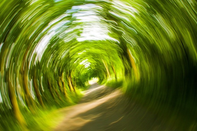 Marijuana-Induced Cyclic Vomiting | Cannabis Sciences