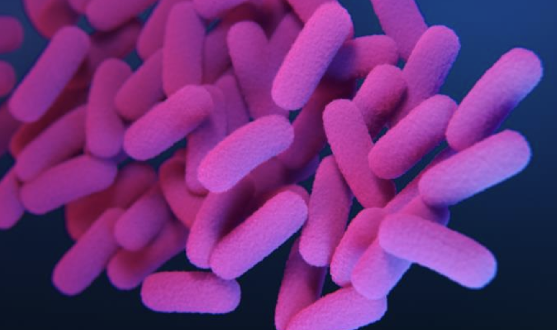 5,000-Year-Old Cave Ice Bacteria is Resistant to Ten Modern Antibiotics ...