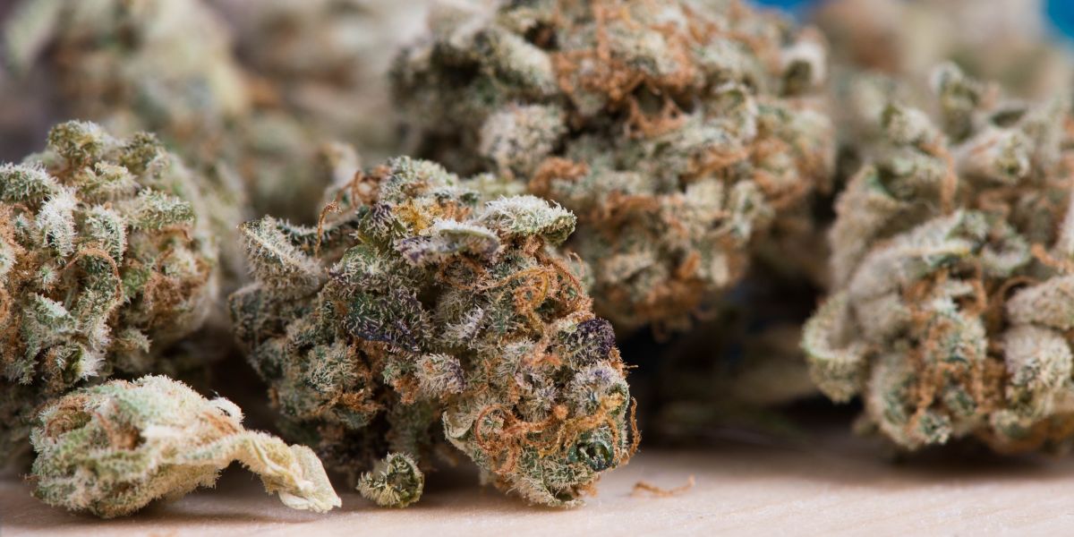 Synthetic Cannabinoid Drug to Enter Human Trials | Cannabis Sciences