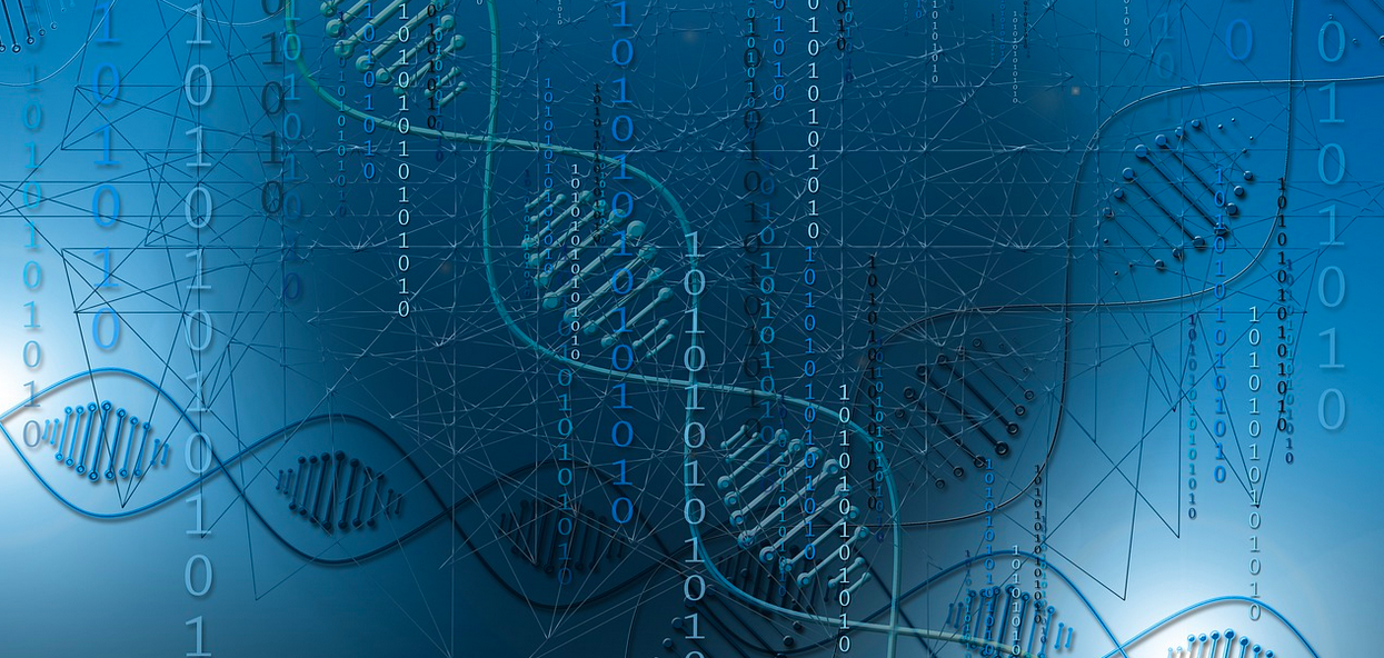 Copy Number Variation - An Important Aspect of Human Genetics | Cell ...