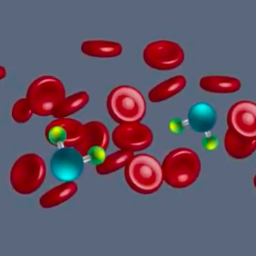 Finding the Neurons That Control Thirst | Cell And Molecular Biology