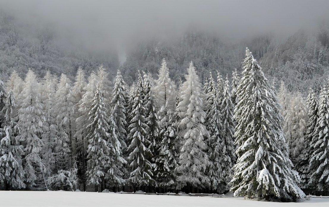 Tracking the Paths of Snowflakes | Earth And The Environment