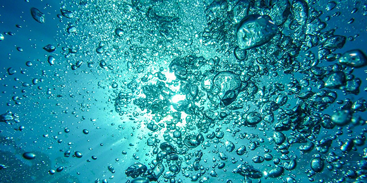 What's the Ocean's Oxygen Budget? | Earth And The Environment