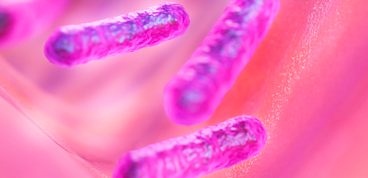 Bacteria Have Had a Significant Impact on Insect Diversification ...