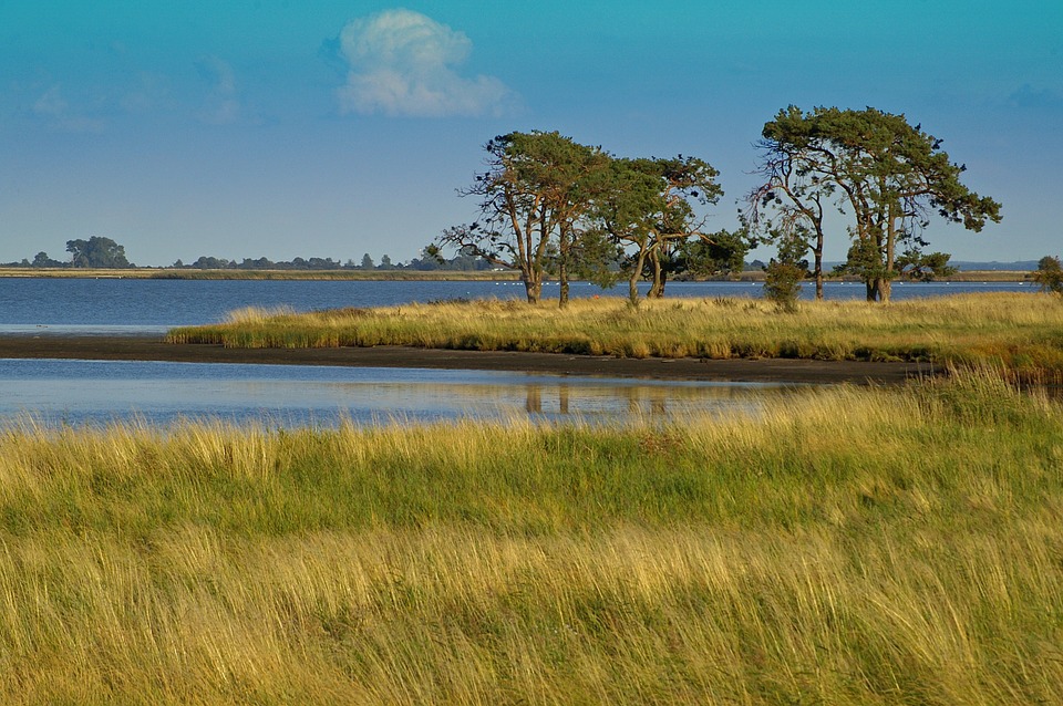 90% of protected wild areas are fragmented | Earth And The Environment