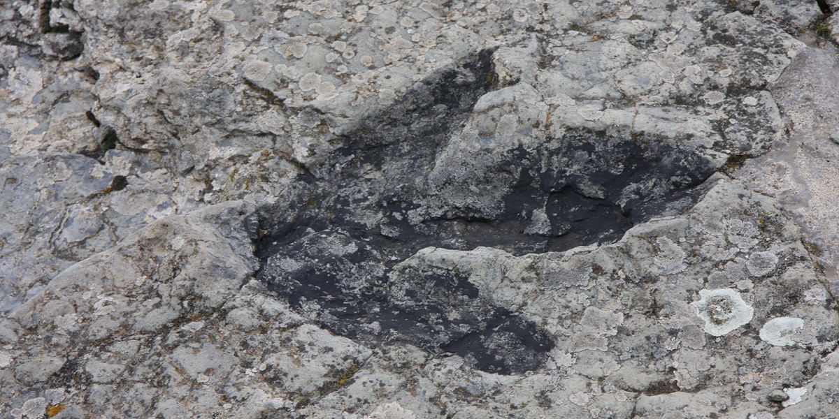 Paleontologists Uncover Perfectly-Preserved Skin Impressions in ...