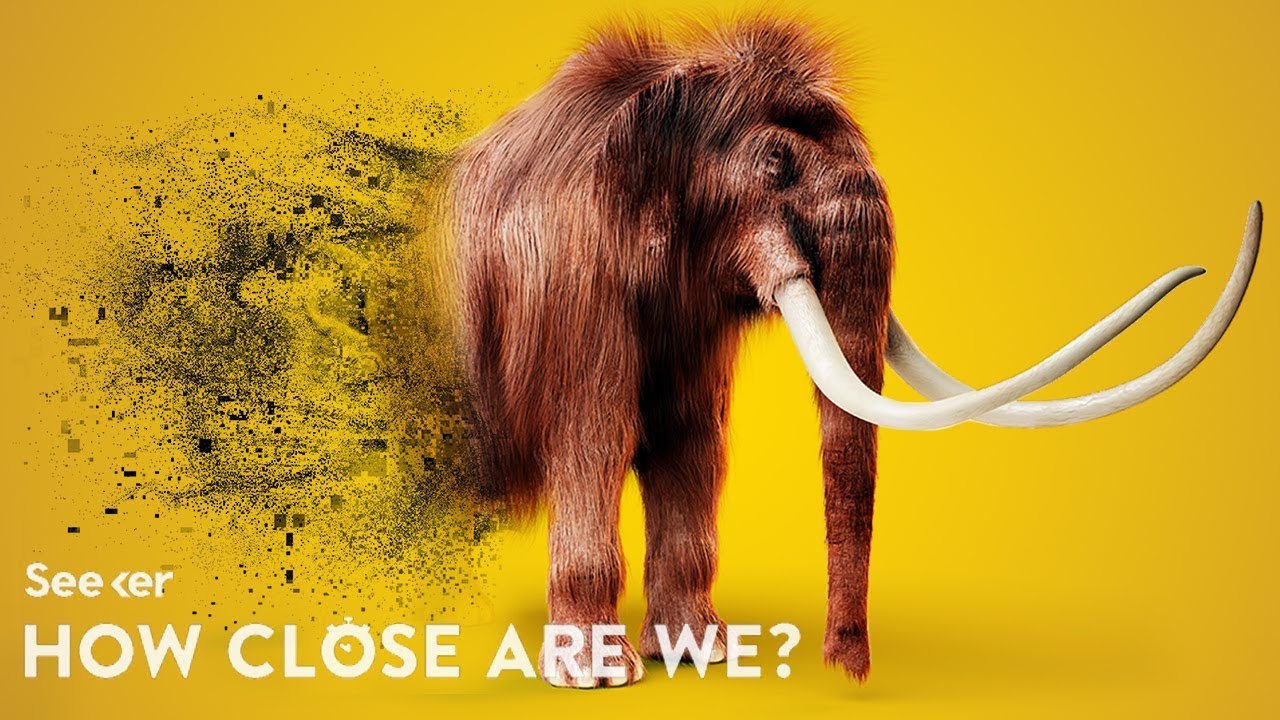 Should we use Genetics to Bring Back Extinct Species? | Videos