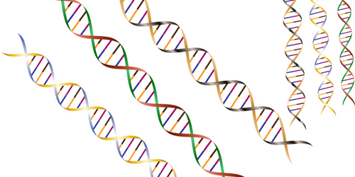 DNA investigations | | Content Tag