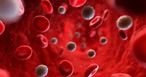 Coagulation | Page 2 | Webinars