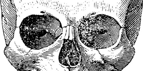 Forensic Taphonomy | Webinars