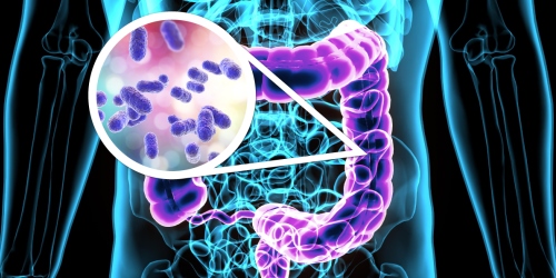 Gut Flora | | Content Tag