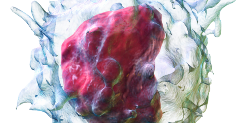 Monocyte/Macrophages | Virtual Events