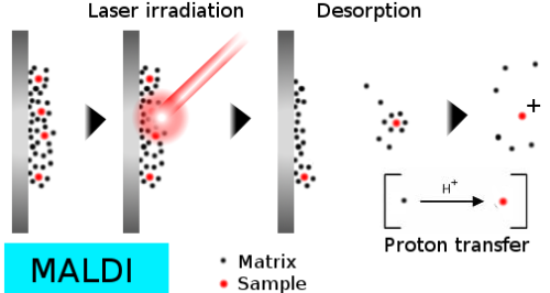 MALDI | | Content Tag
