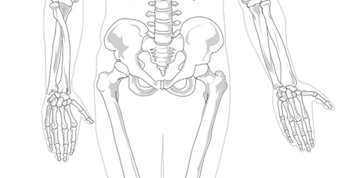Skeletal development | | Content Tag