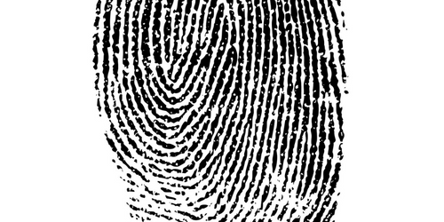 Human identification systems | | Content Tag