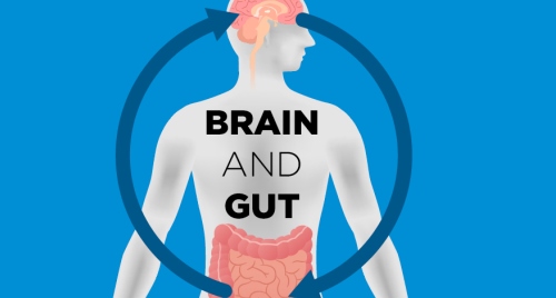 Gut Brain Axis (GBA) | | Content Tag