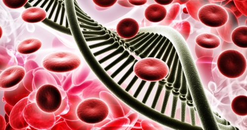 Cellular Mechanism | | Content Tag