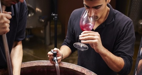 Oenology | | Content Tag