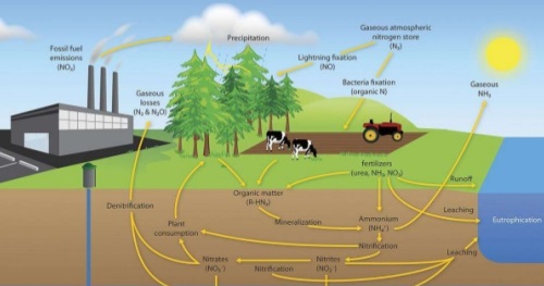 Environmental Chemistry | | Content Tag