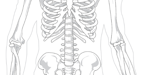 Skeletal dysplasia | | Content Tag