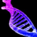 Elon Musk's Space-Bound Tesla Carries Heaps of Earthly Bacteria