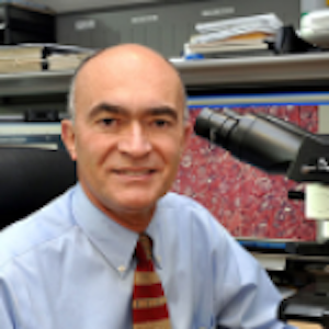 Navigating Renal Tumor Pathology: Insights and Innovations