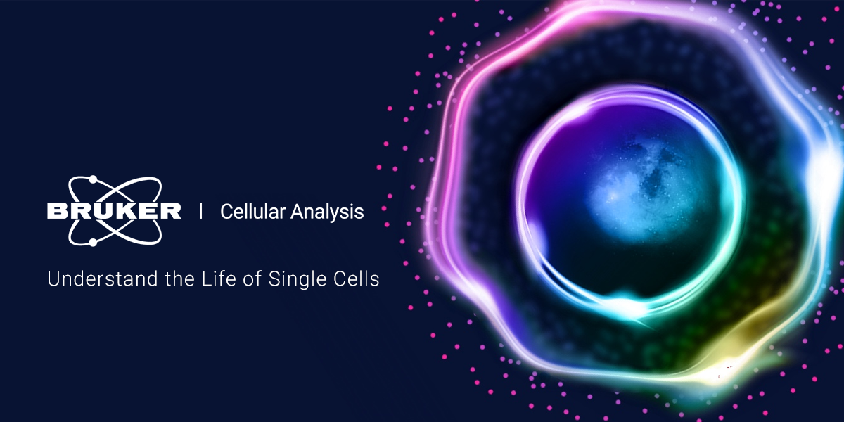 Understand the Life of Single cell