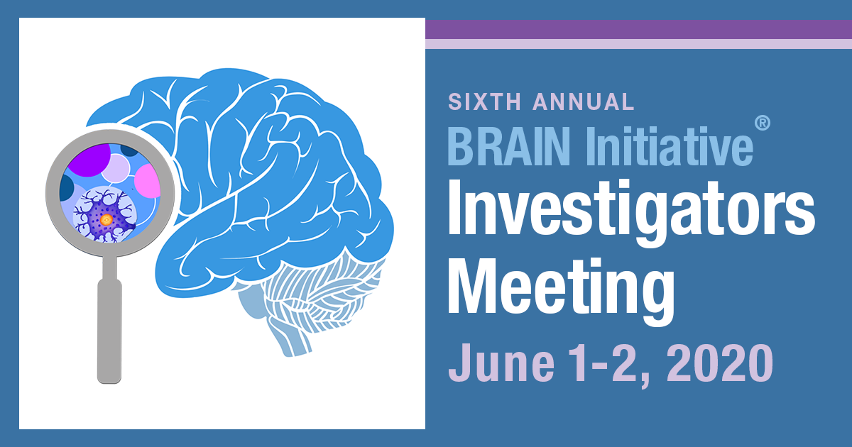 The Virtual 2020 BRAIN Initiative Investigators Meeting