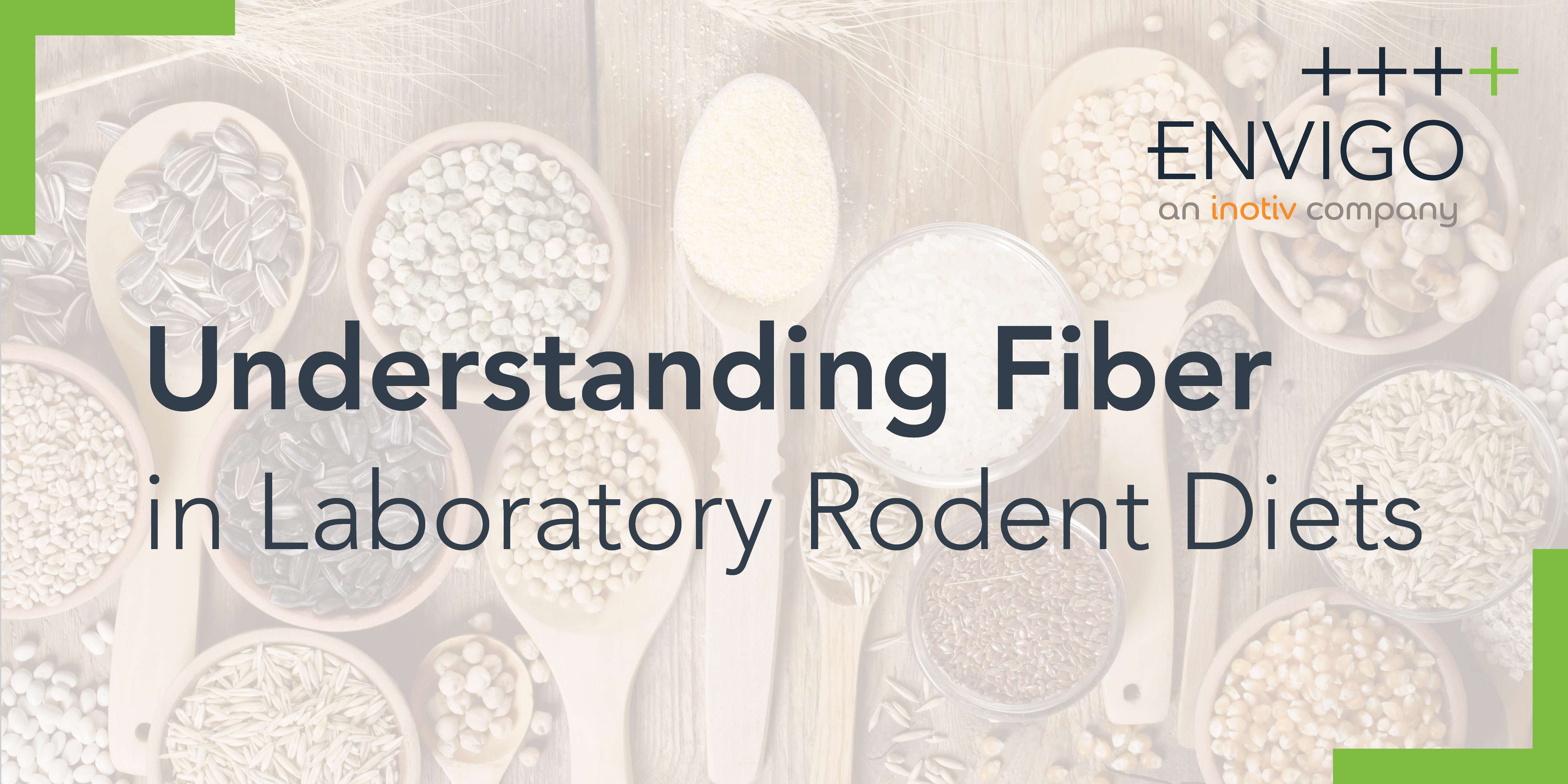 Understanding Fiber In Laboratory Rodent Diets - Definitions ...