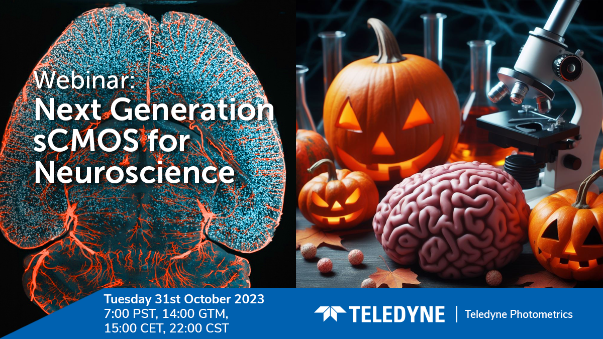 Next Generation sCMOS Cameras for Neuroscience Research