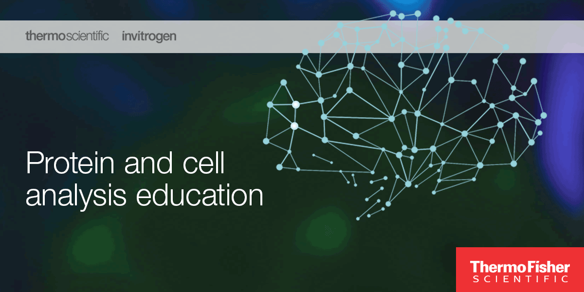 The Use of Flow Cytometry to Identify Cancer Stem Cells in Primary ...
