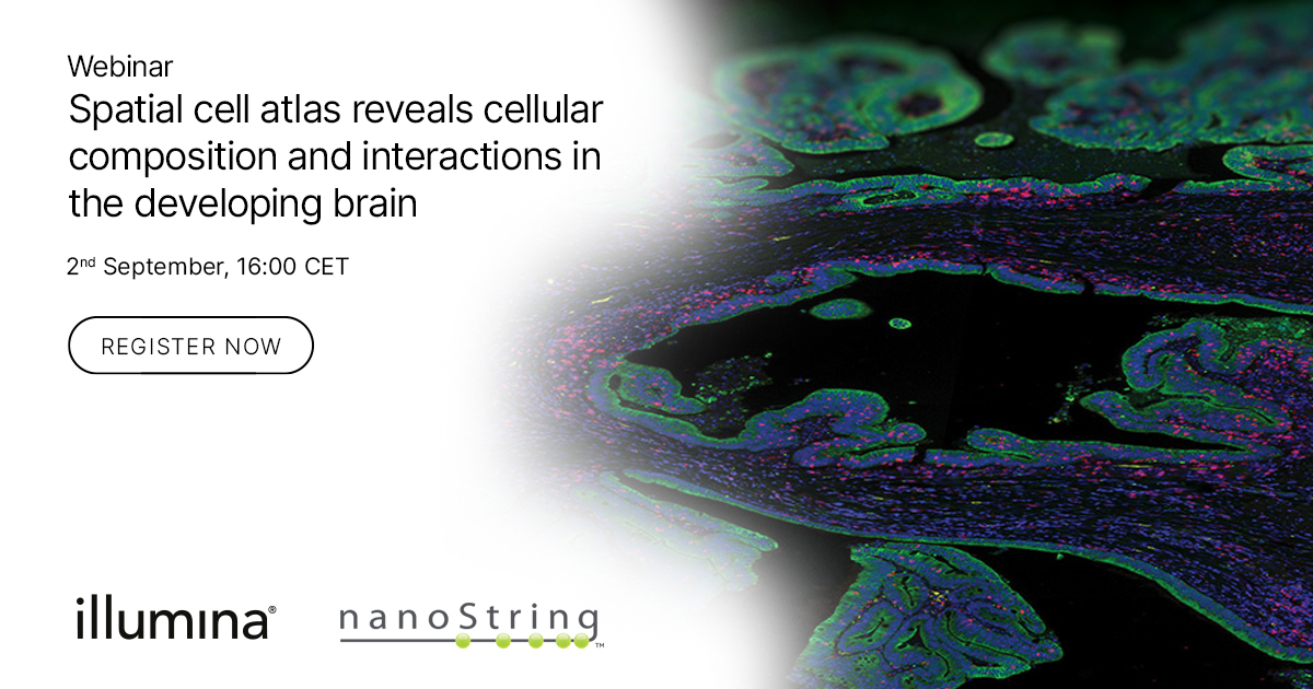 Whole transcriptome in situ cell atlas reveals cellular composition and ...