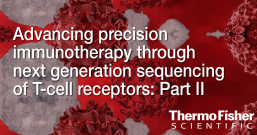 Russian ice cap melting at 82 feet per day