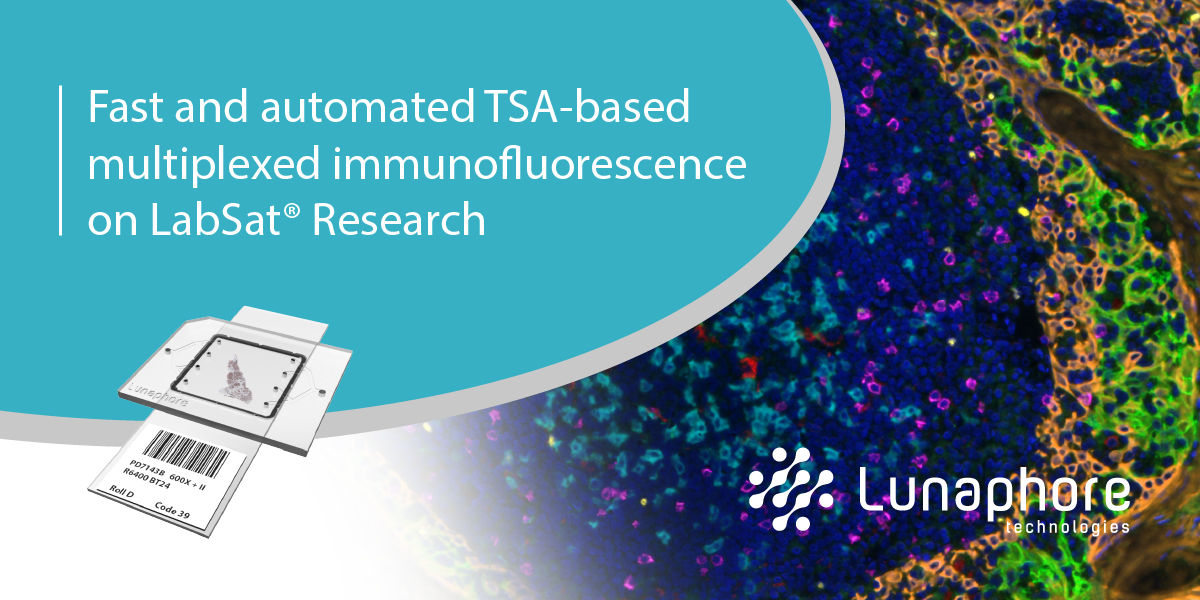 Fast and automated TSA-based multiplexed immunofluorescence on LabSat ...