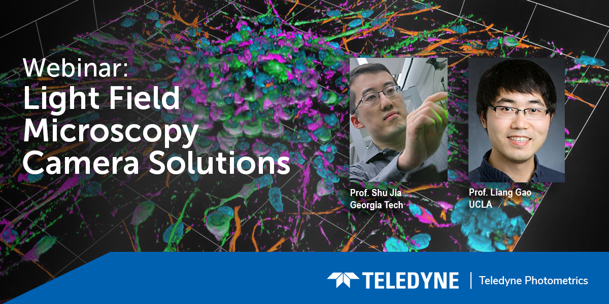 Light Field Microscopy Camera Solutions