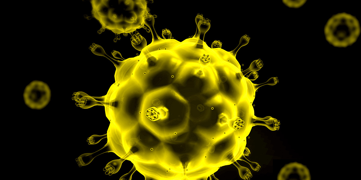 Robust and Swift: Efficient One-Step Clarification Methods for AAV & LV Harvests