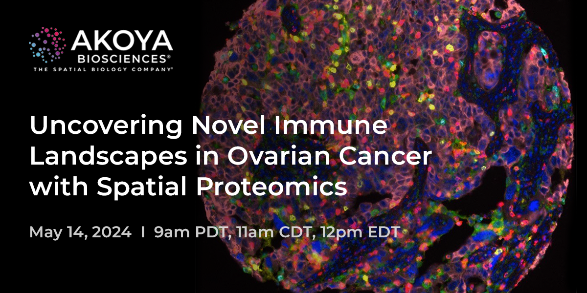 Uncovering Novel Immune Landscapes in Ovarian Cancer with Spatial ...