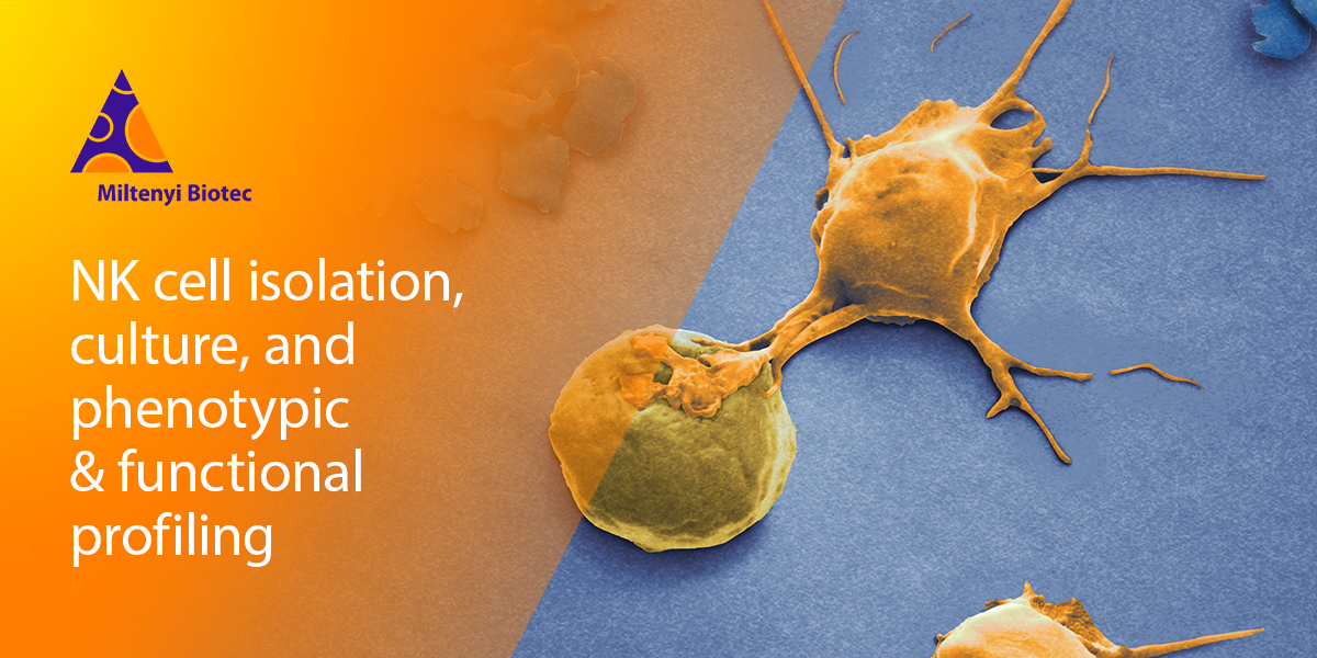 Advanced NK cell research solutions