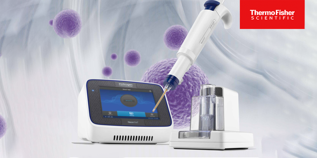 Master the basics of electroporation and beyond: Optimizing your ...
