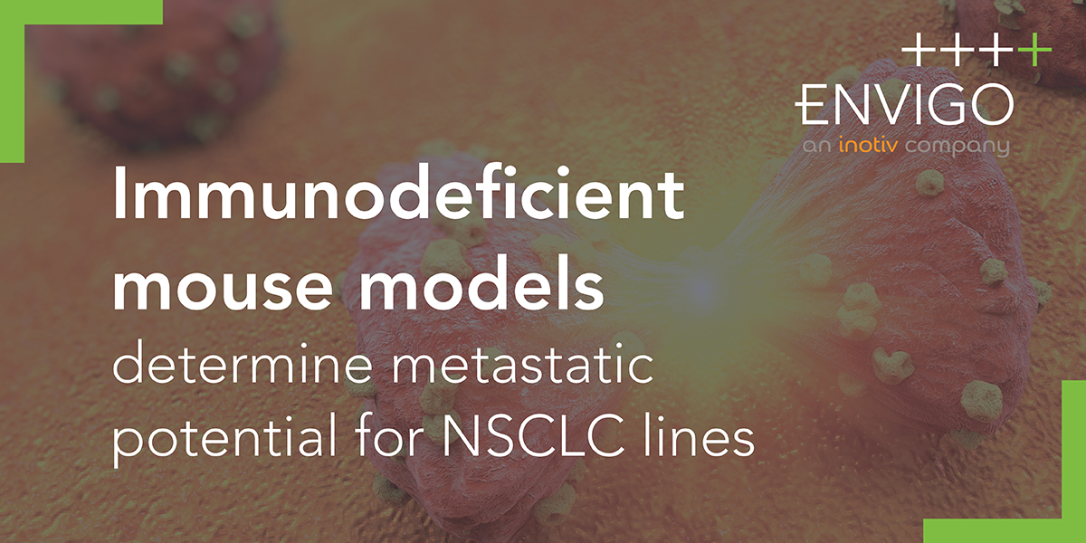 Immunodeficient mouse models determine metastatic potential for NSCLC lines