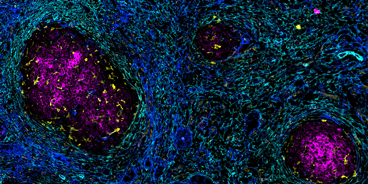 Accelerating discovery together: Community resources for multiplexed ...