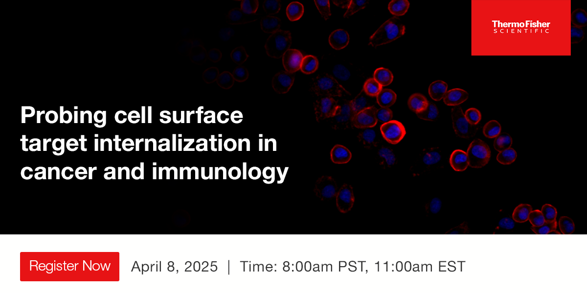 Probing cell surface target internalization in cancer and immunology