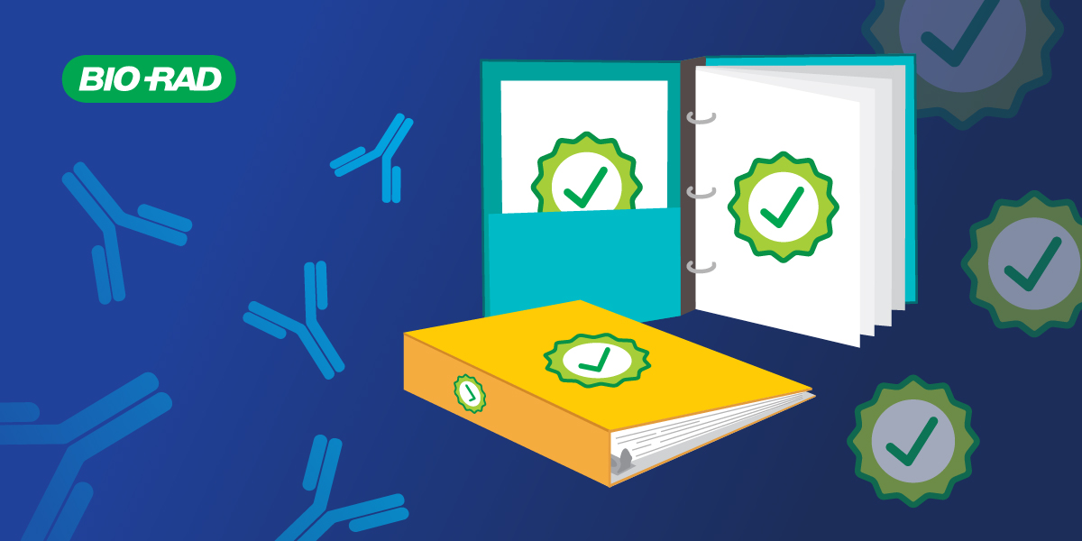 Autoantibody Serology Testing: Strategies for Lot-to-Lot Evaluation